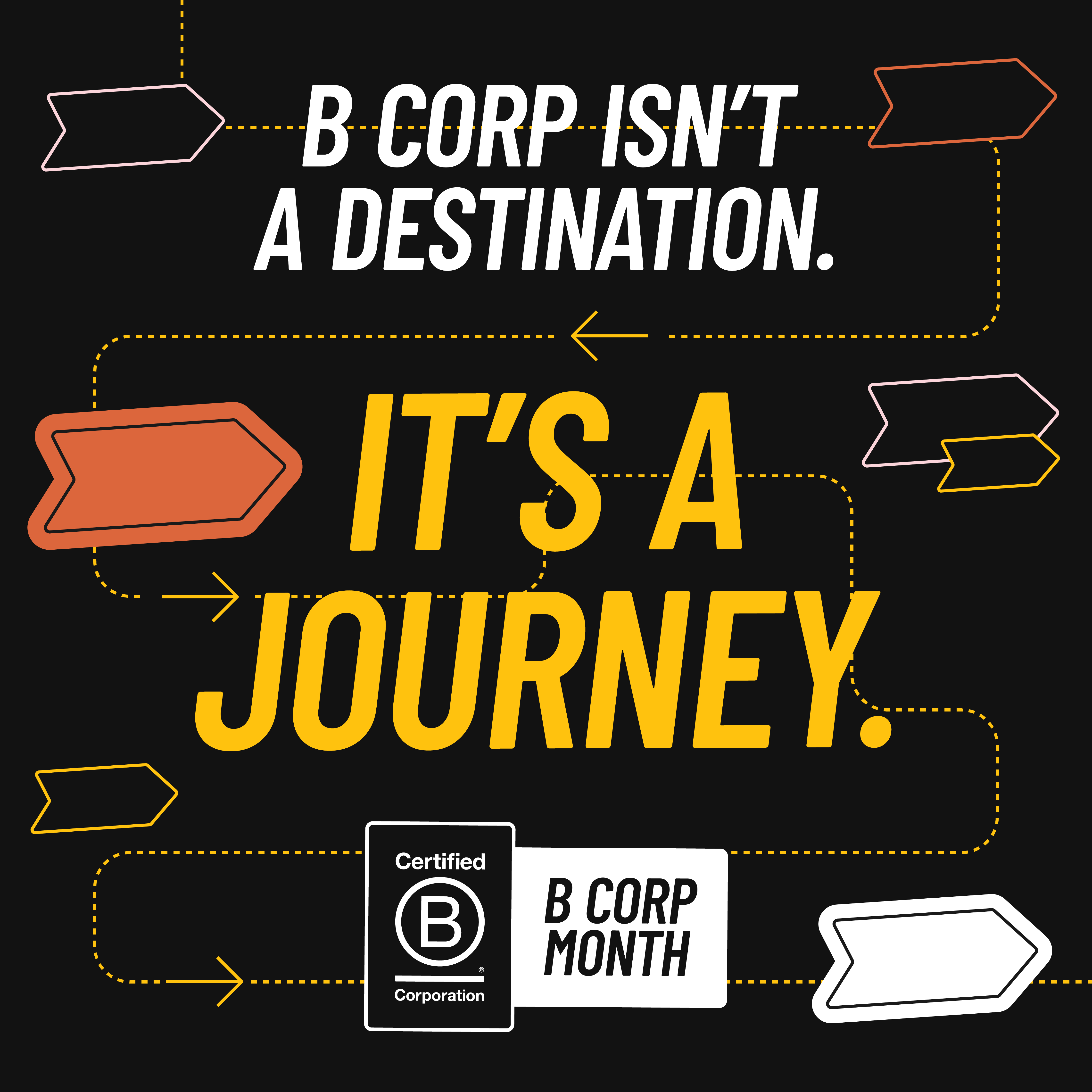 Our B Corp Journey and Why It Matters // Climbing Trees