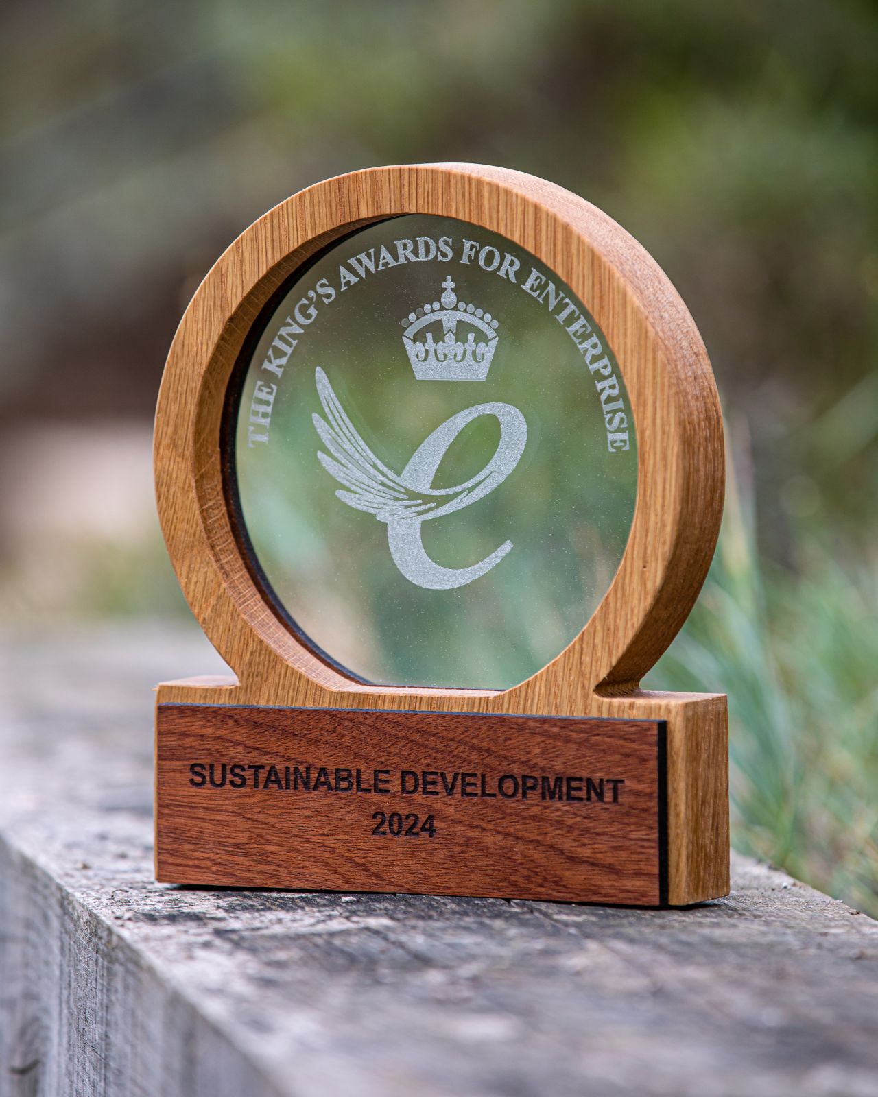 Celebrating the King's Award for Enterprise // Climbing Trees